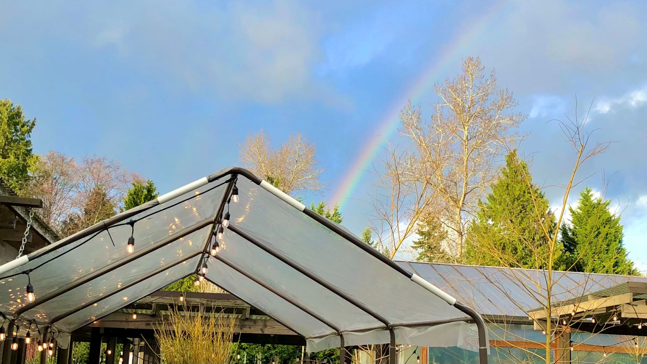 Rainbow resized | Wells Medina Nursery
