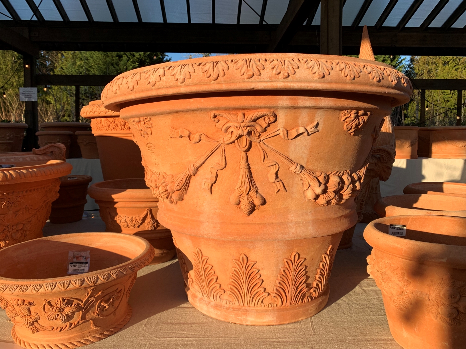 italian terracotta pot | Wells Medina Nursery
